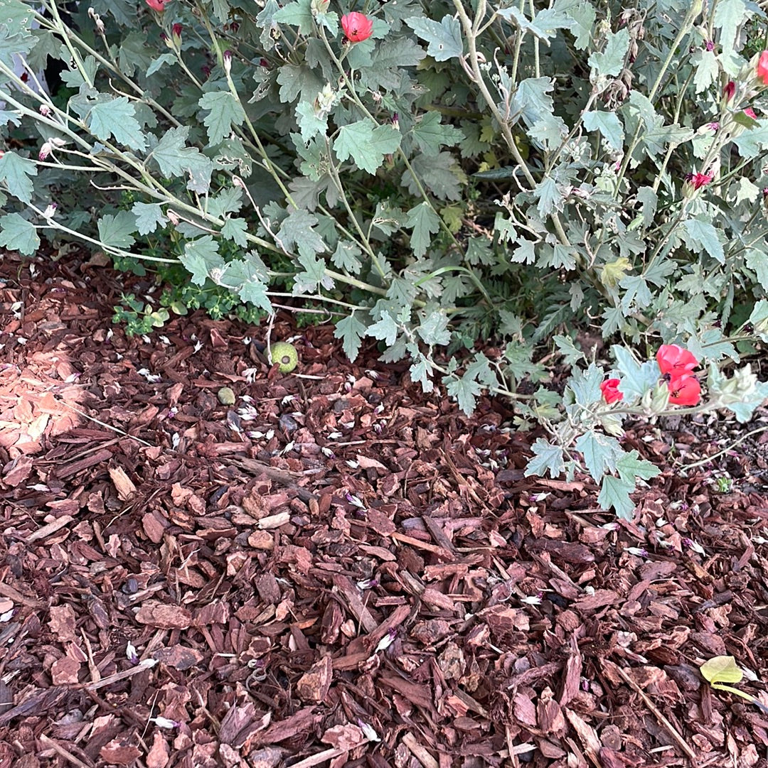 GreenAll Micro Bark, 2cf – Morningsun Herb Farm